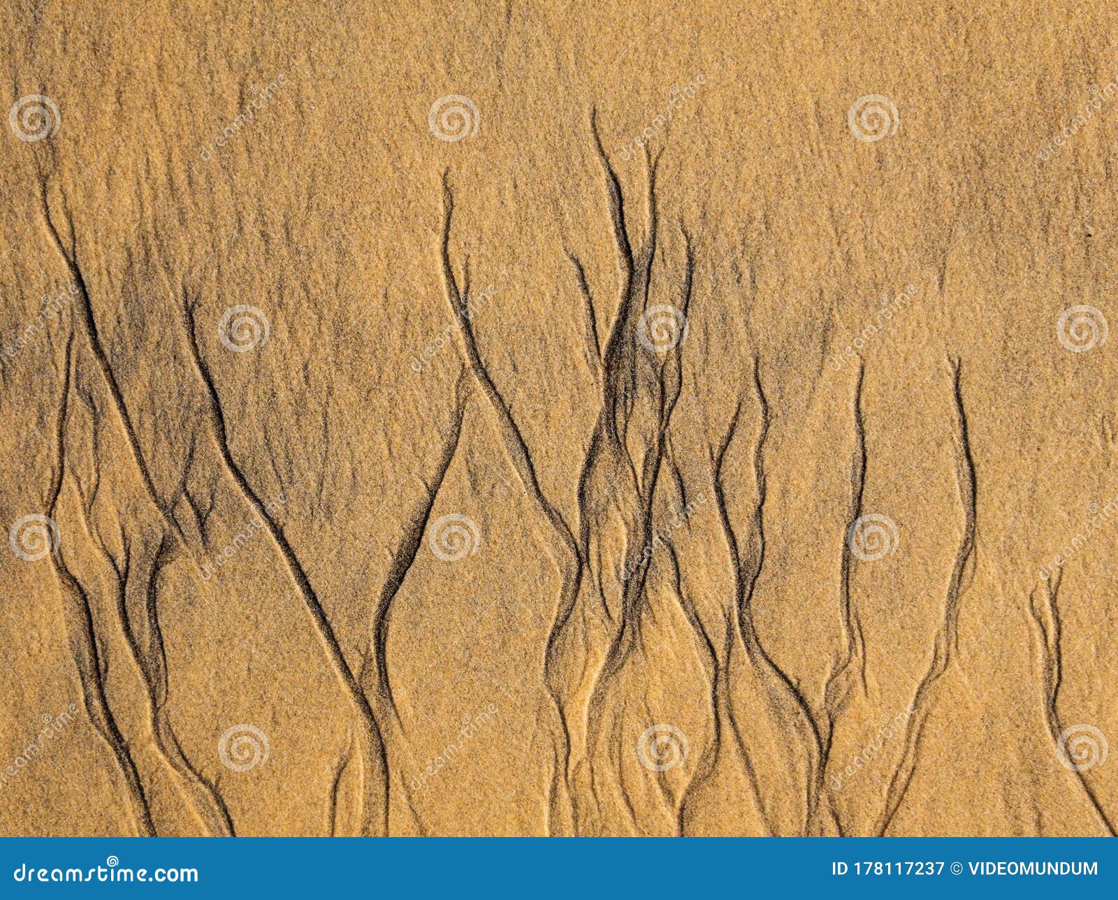 Structures in the Sand from Tiny Trickling Rivulets Stock Image - Image ...