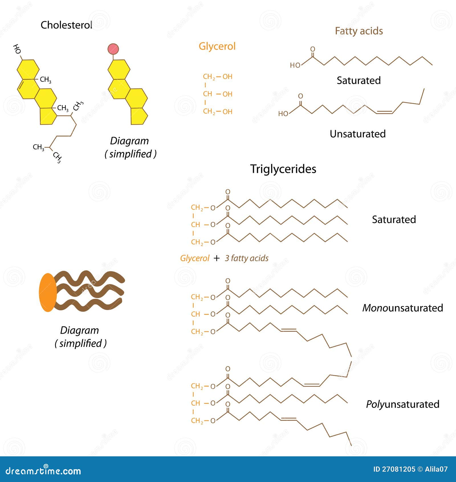 Structuur Van Cholesterol En Triglyceride Vector Illustratie ...