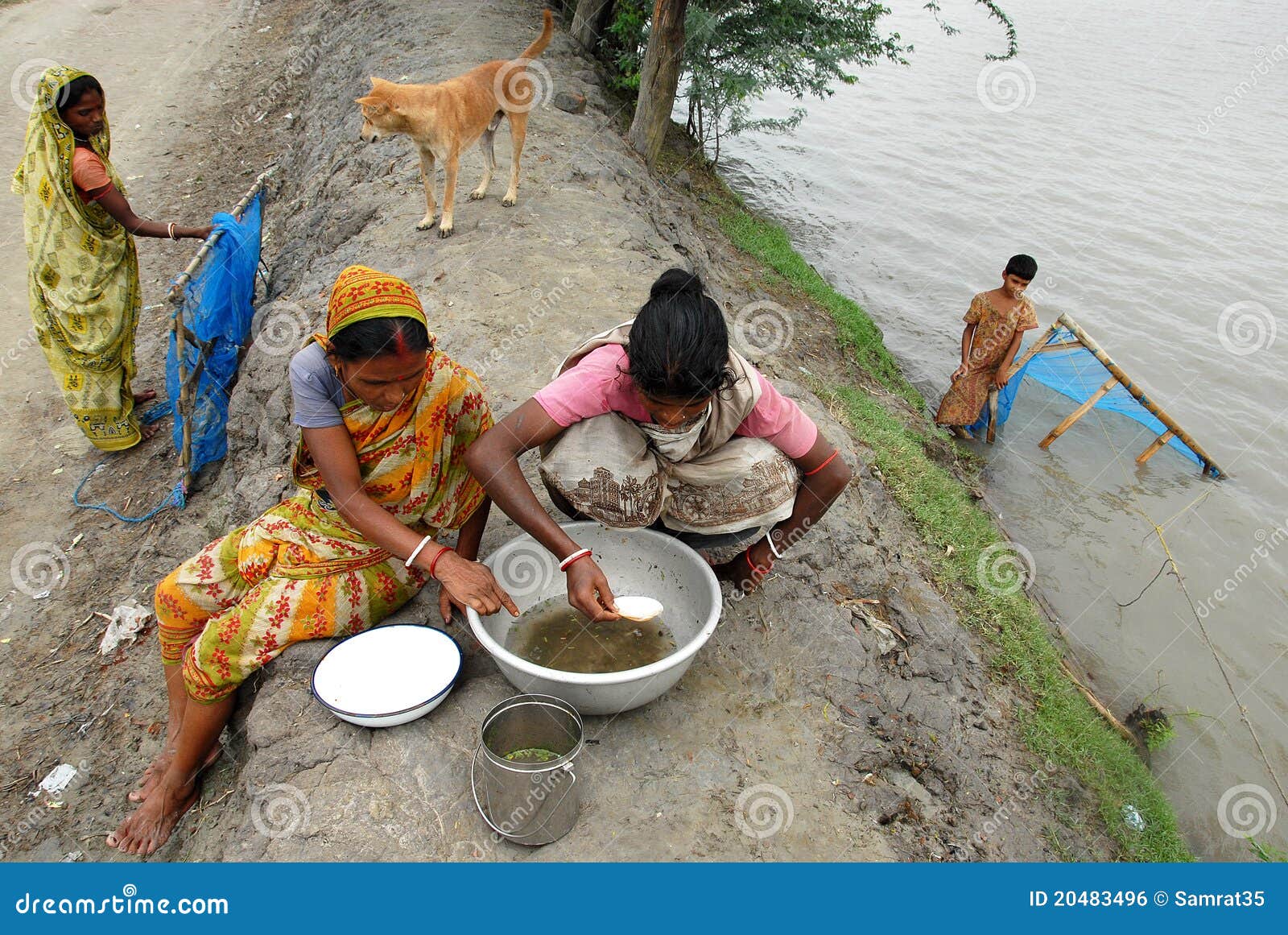 Struggle for Survival editorial photo. Image of lifestyle - 20483496