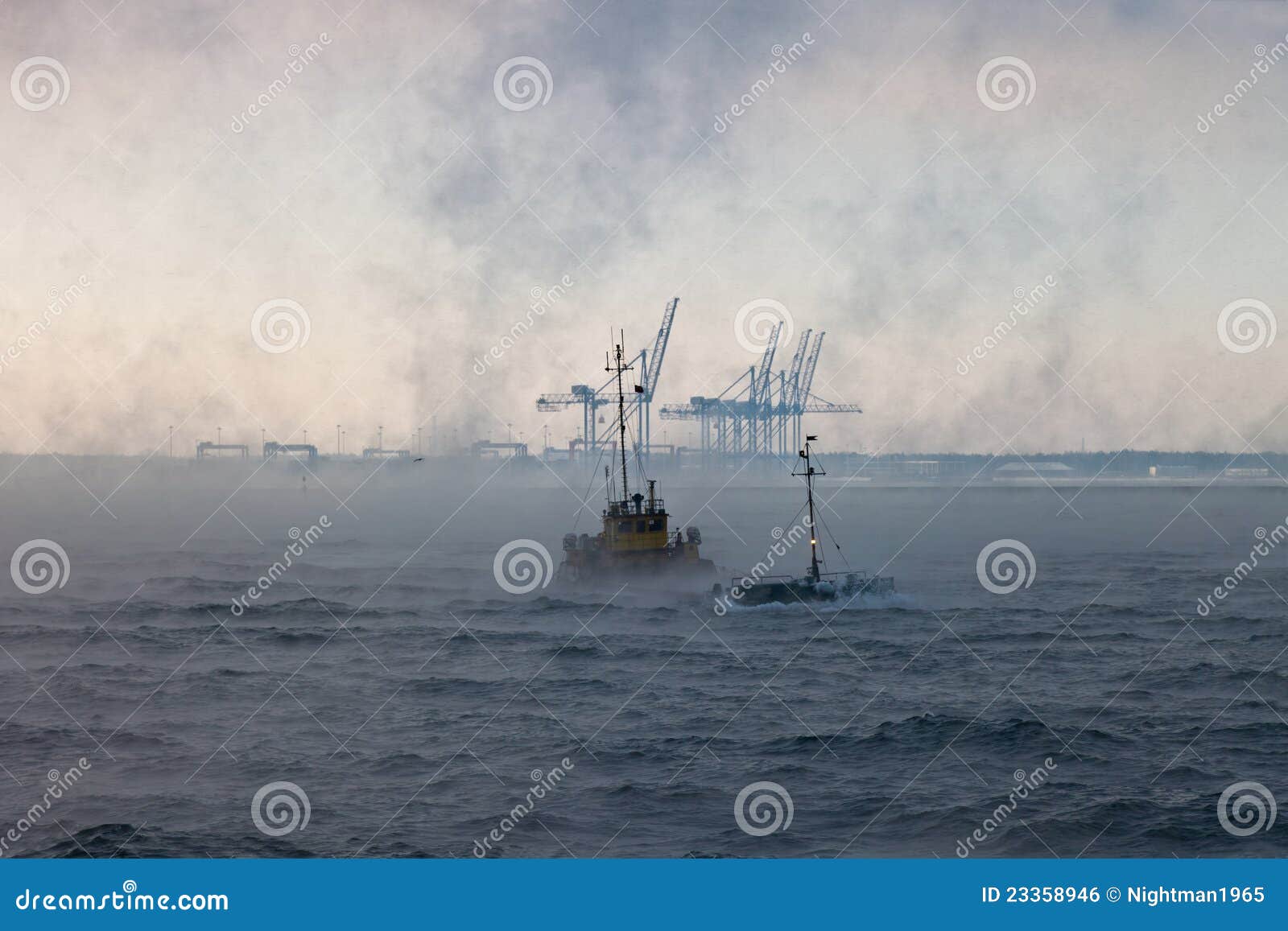 Struggle for Survival in Harsh Winter Conditions Stock Photo - Image of ...