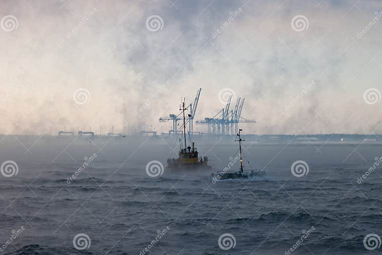Struggle for Survival in Harsh Winter Conditions Stock Photo - Image of ...