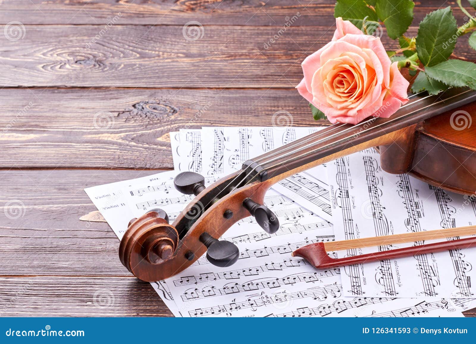 Strumento Di Musica Classica E Rosa Di Rosa Immagine Stock - Immagine ...