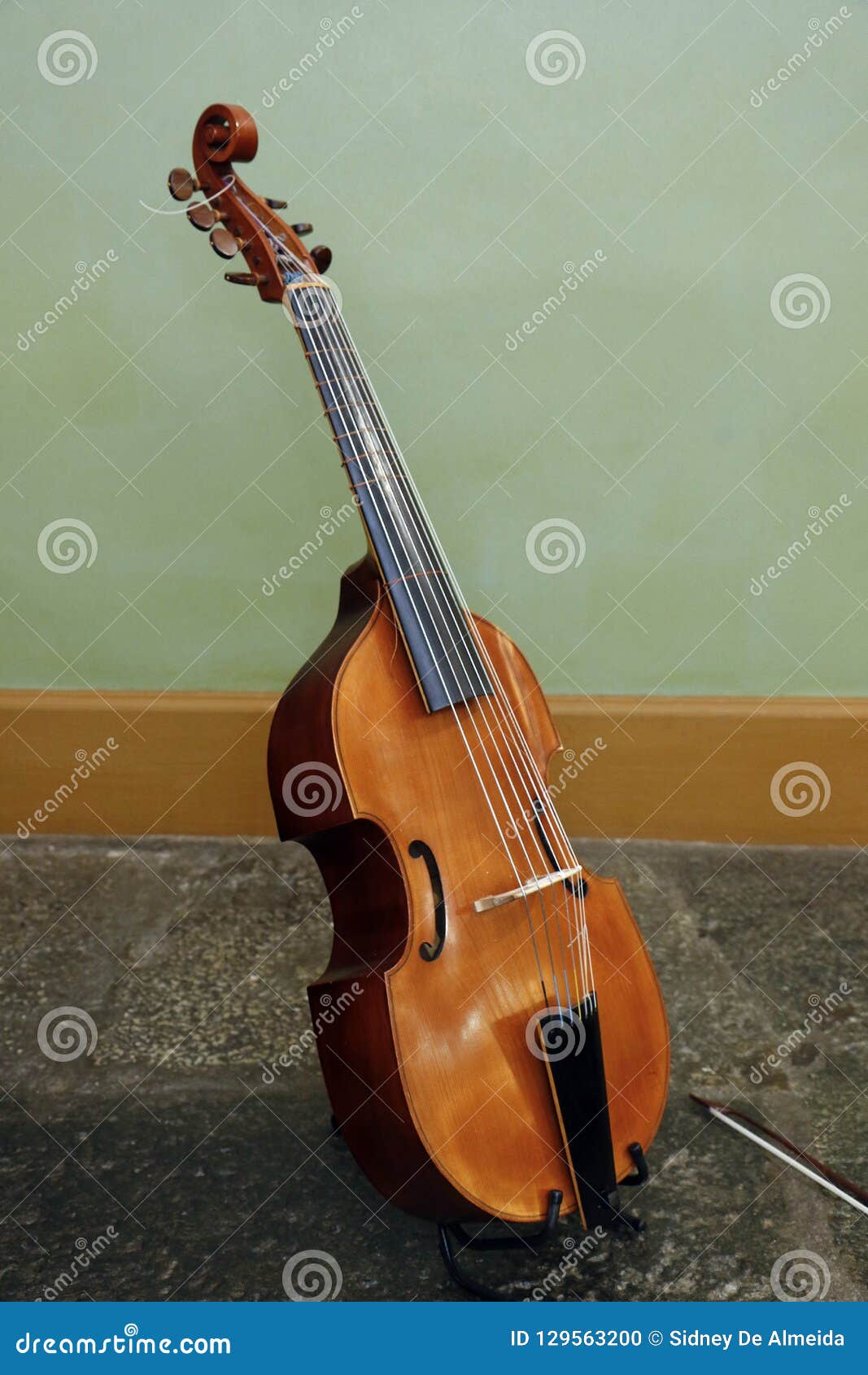 Strumento Musicale Viola De Gamba Nel Supporto Dello Strumento ...
