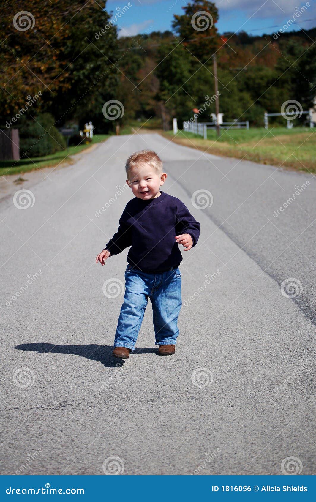 Struttin stock photo. Image of strutting, walking, road - 1816056