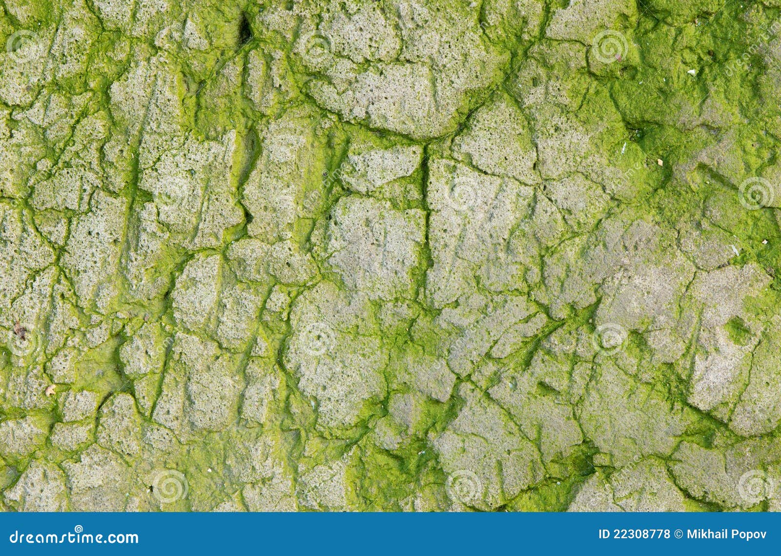 Struttura Astratta Con Le Crepe E La Muffa Verde. Fotografia Stock ...