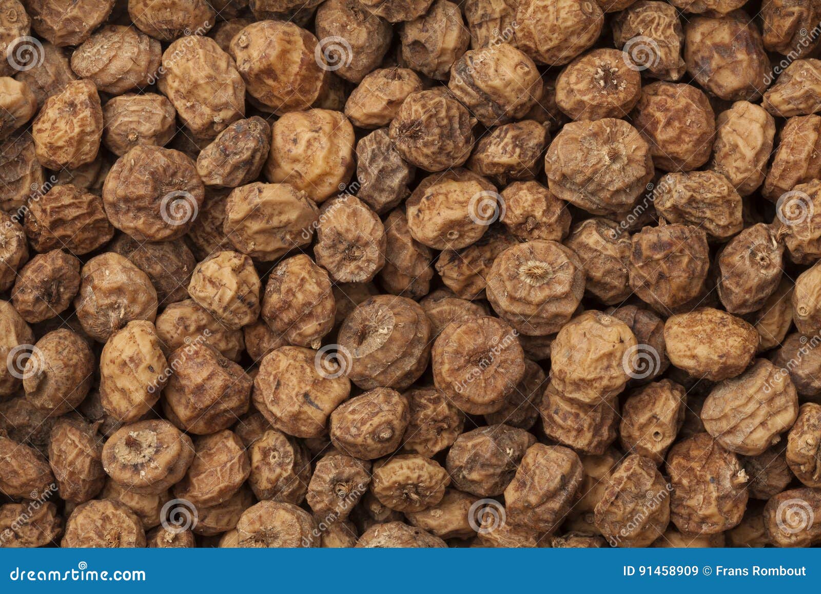 Struttura Completa Matta Del Cipero Dolce Immagine Stock - Immagine di ...