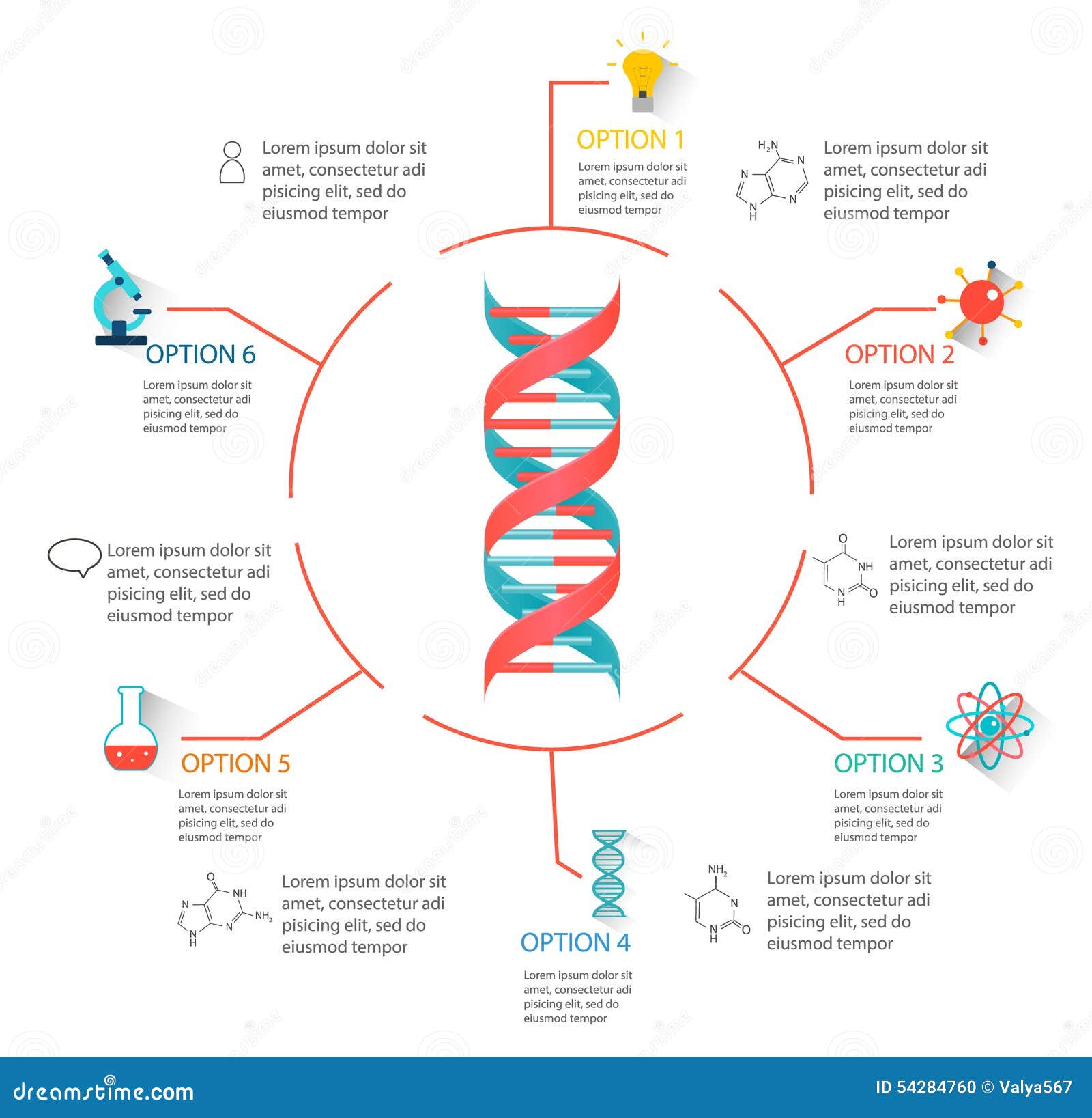 Struttura Del DNA Infographic Illustrazione Vettoriale - Illustrazione ...