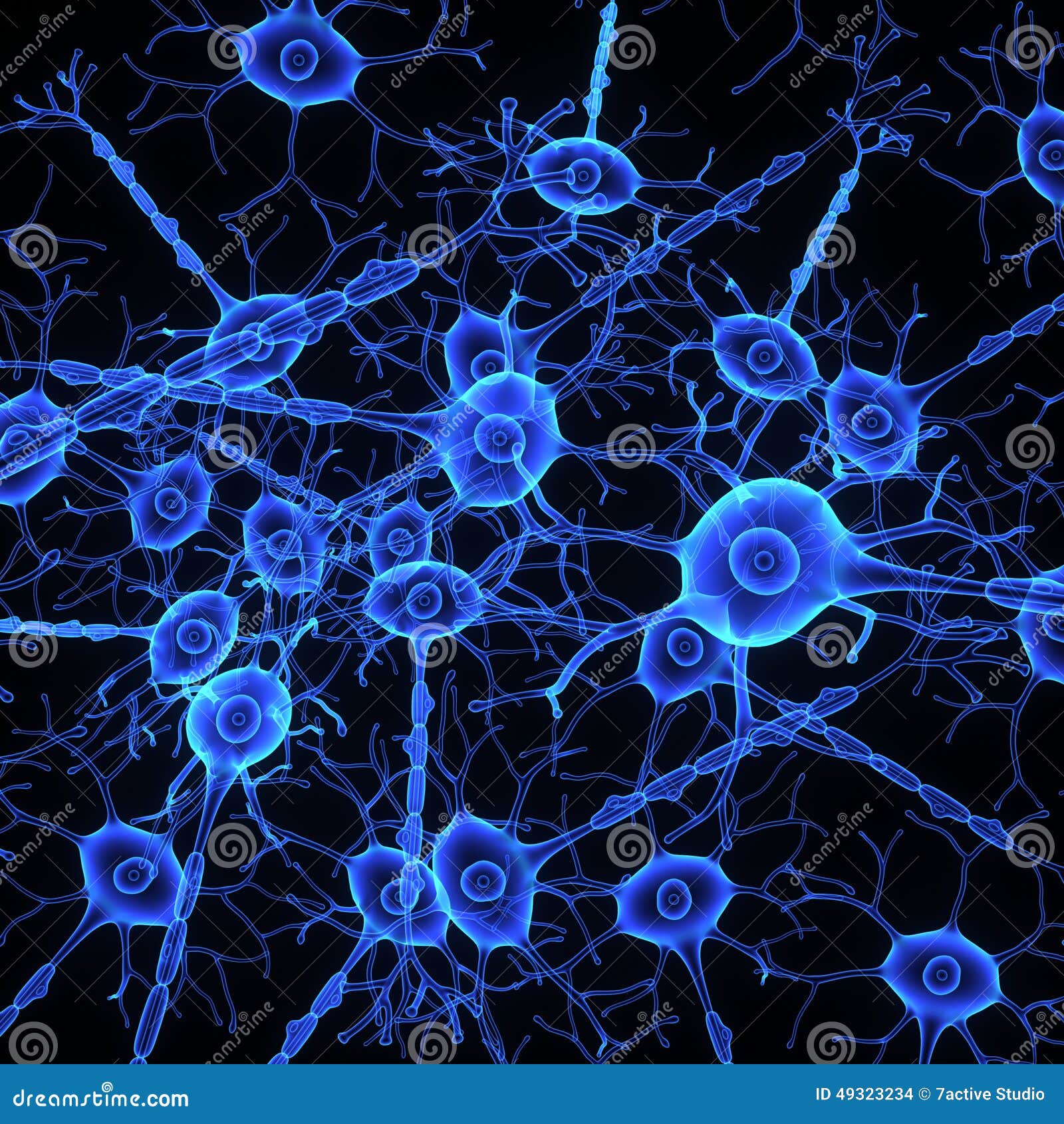 Struttura del neurone illustrazione di stock. Illustrazione di cellule ...