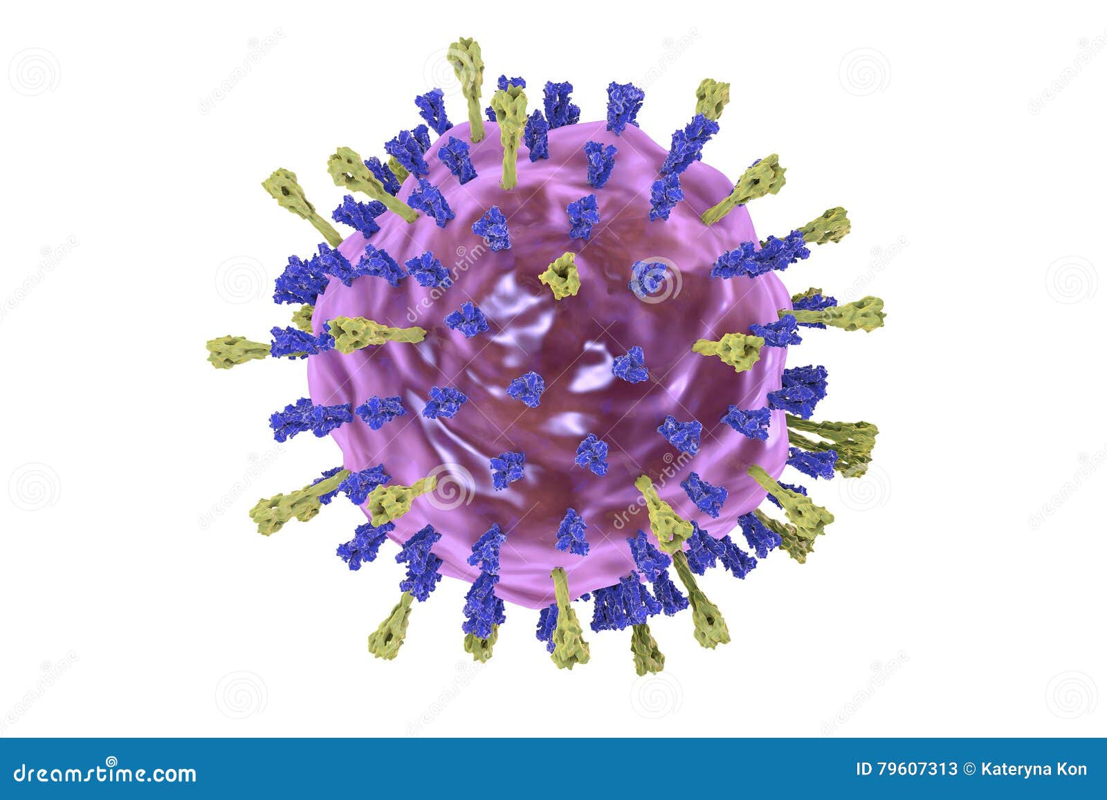 Struttura Del Virus Di Parotite Epidemica Illustrazione di Stock ...