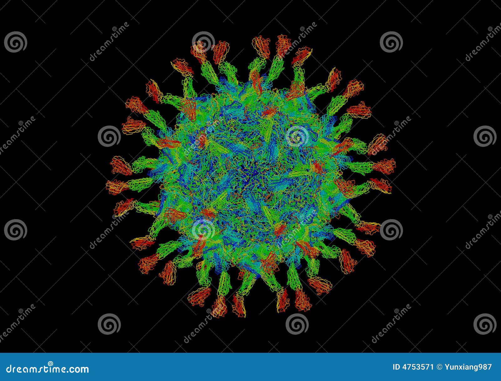 Struttura Del Poliovirus