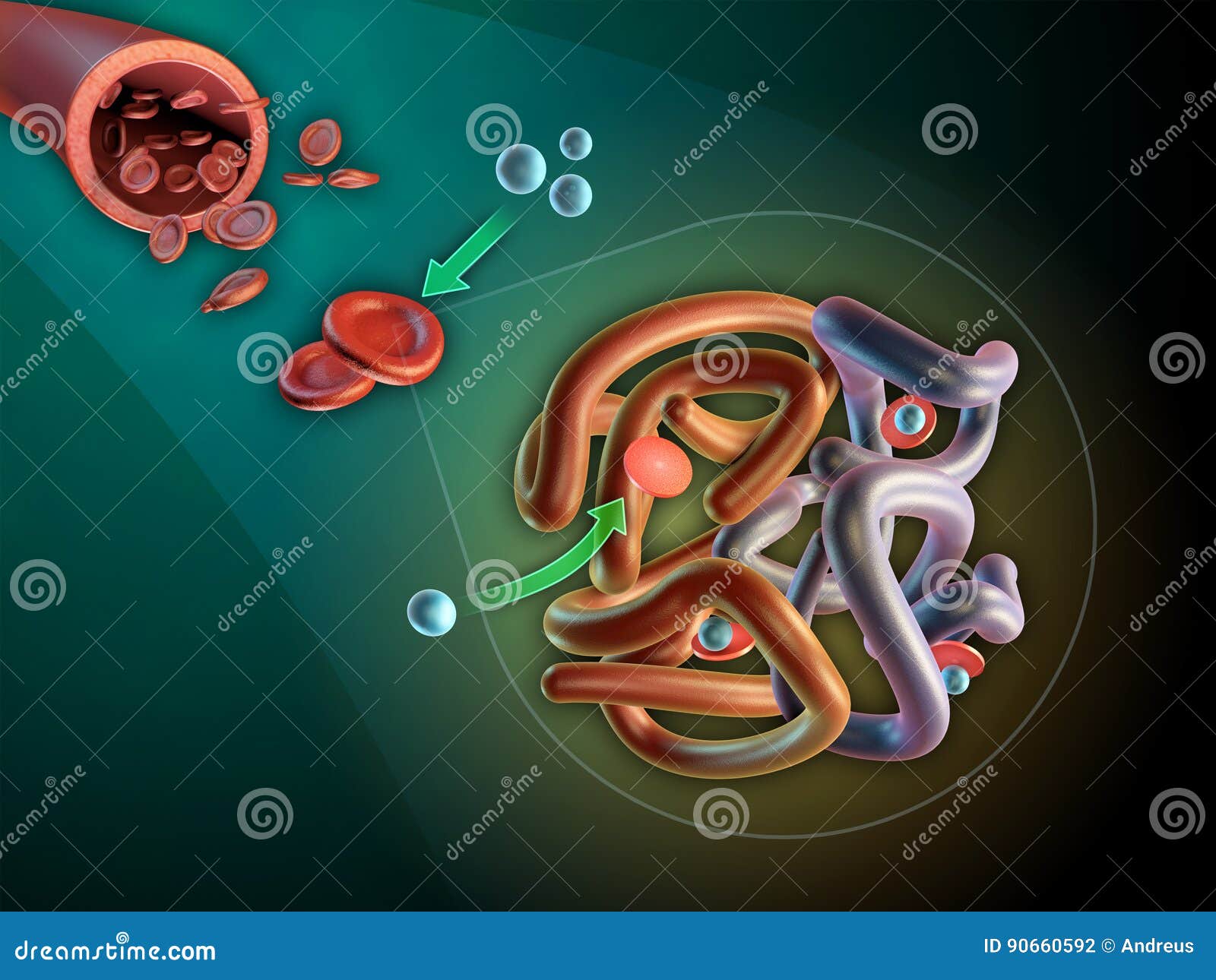 Struttura dell'emoglobina illustrazione di stock. Illustrazione di ...