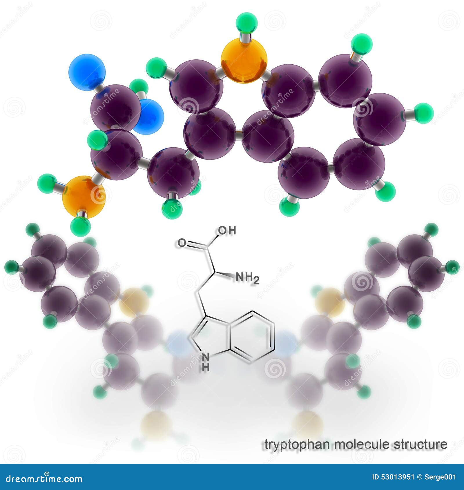 Struttura Della Molecola Del Triptofano Illustrazione di Stock ...
