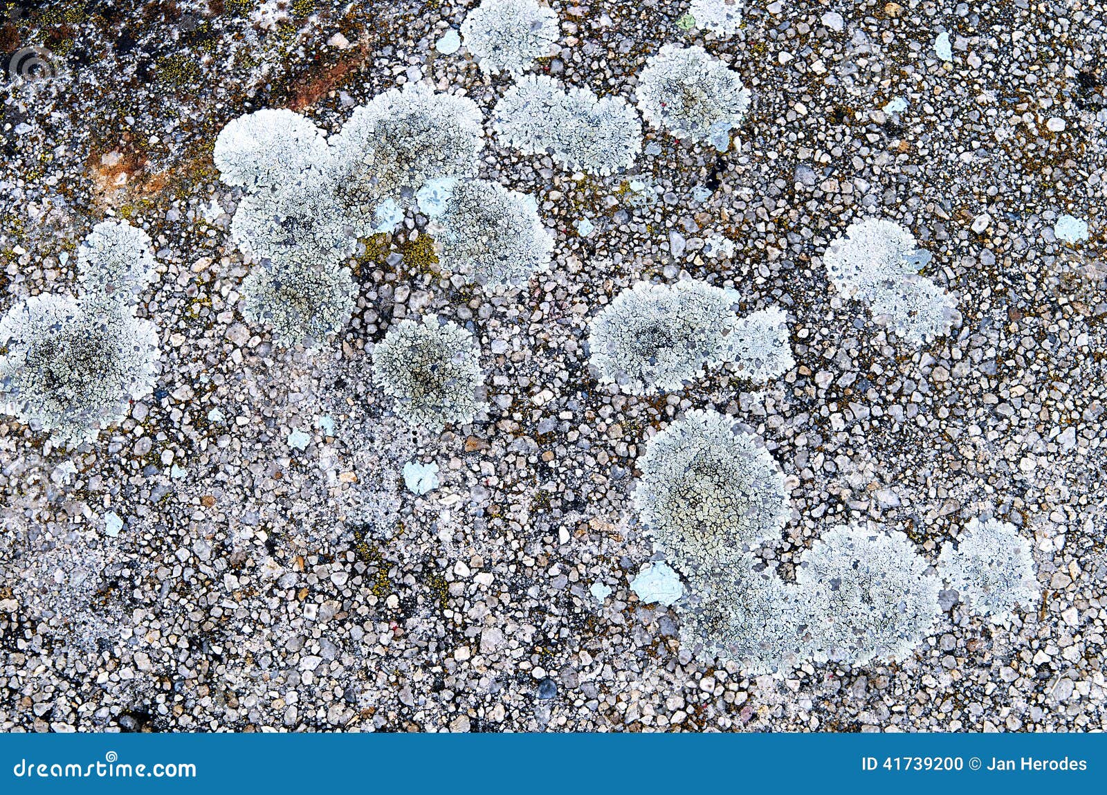 Struttura Della Muffa Colorata Fotografia Stock - Immagine di modello ...