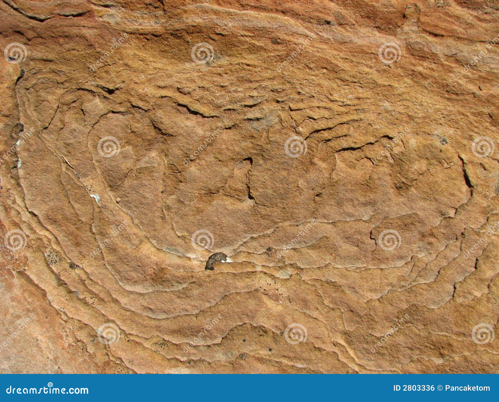 Struttura Della Roccia Dell'arenaria Fotografia Stock - Immagine di ...