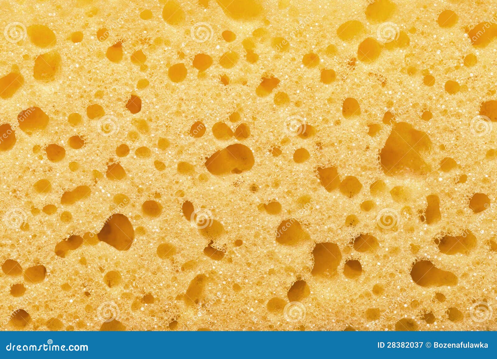 Struttura della spugna immagine stock. Immagine di struttura - 28382037