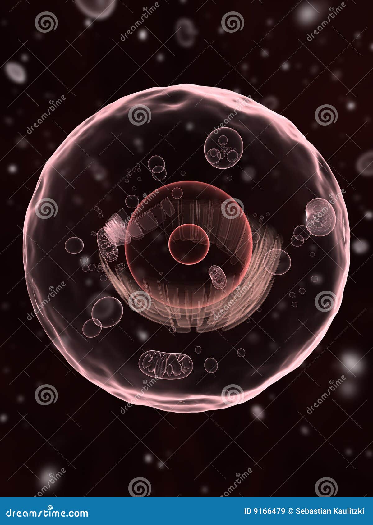 Struttura delle cellule illustrazione di stock. Illustrazione di ...