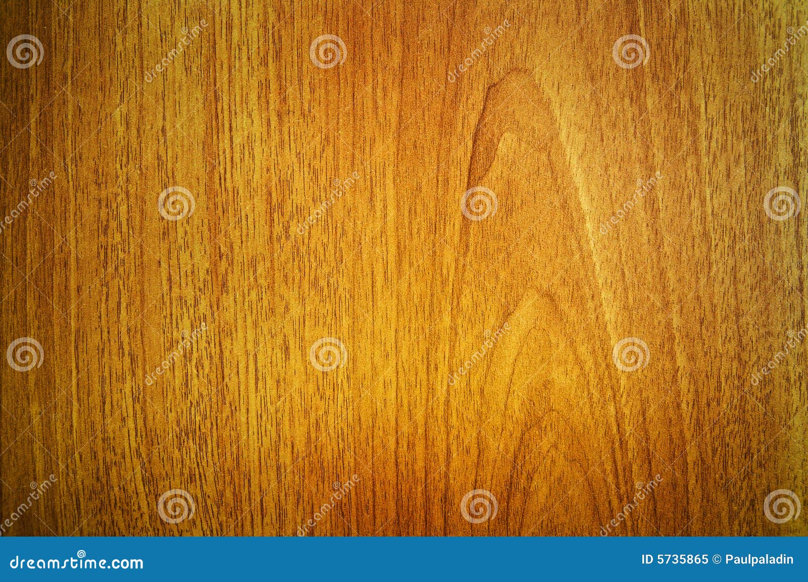 Struttura Di Legno Dell'acero Immagine Stock - Immagine di interno ...