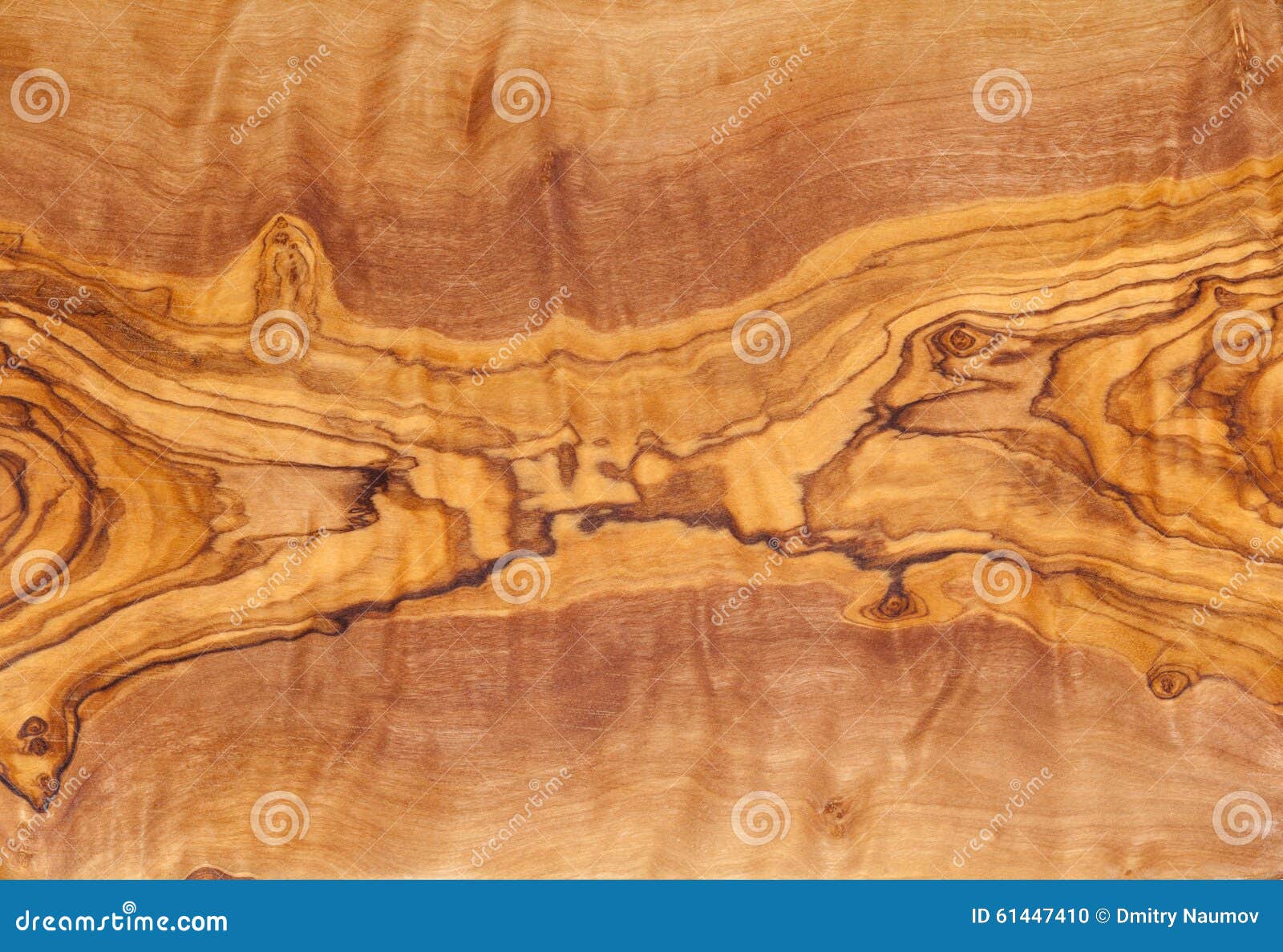 Struttura Di Legno Di Olivo Fotografia Stock - Immagine di chiusura ...