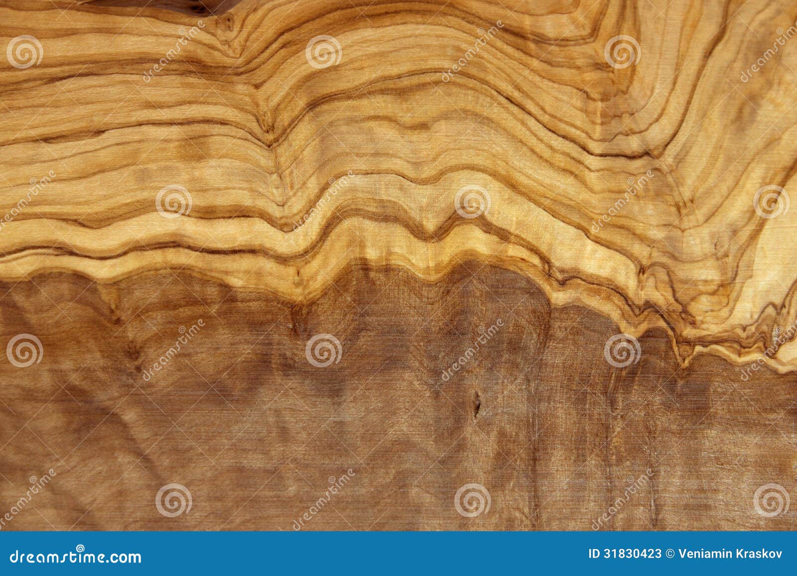 Struttura Di Legno Verde Oliva Immagine Stock - Immagine di superficie ...