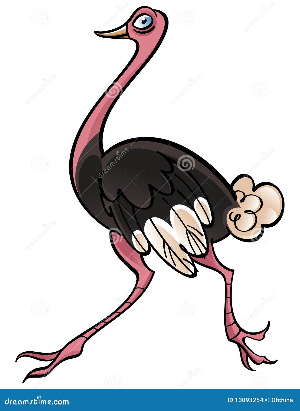 Struzzo illustrazione vettoriale. Illustrazione di graffetta - 13093254