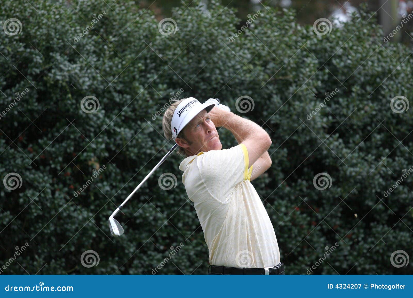 Appelby Stock Photos - Free & Royalty-Free Stock Photos from Dreamstime