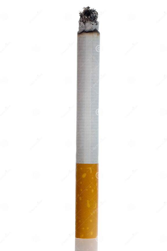 Stub stock photo. Image of cigarette, health, death, tobacco - 8566628