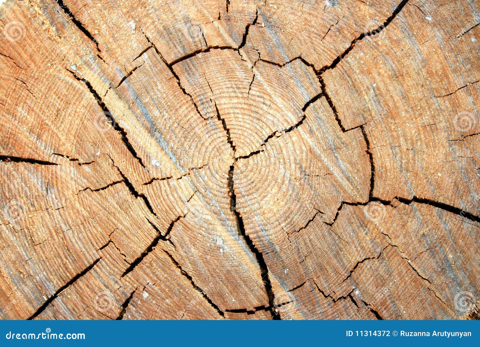 Stub texture stock photo. Image of nature, board, abstract - 11314372