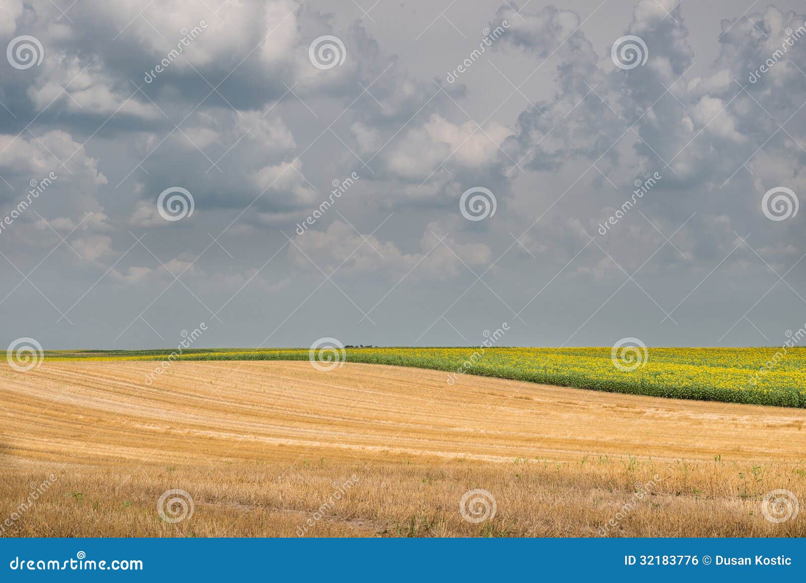 Stubble field stock photo. Image of crop, farming, harvested - 32183776