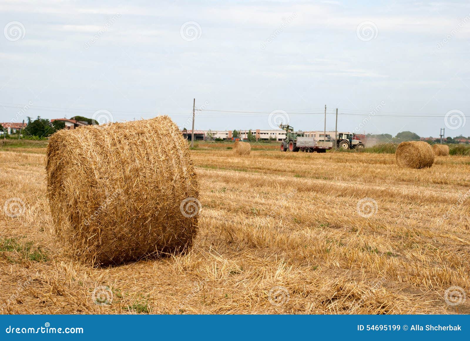 Stubble Field and Hay Bales Stock Image - Image of cape, harvest: 54695199