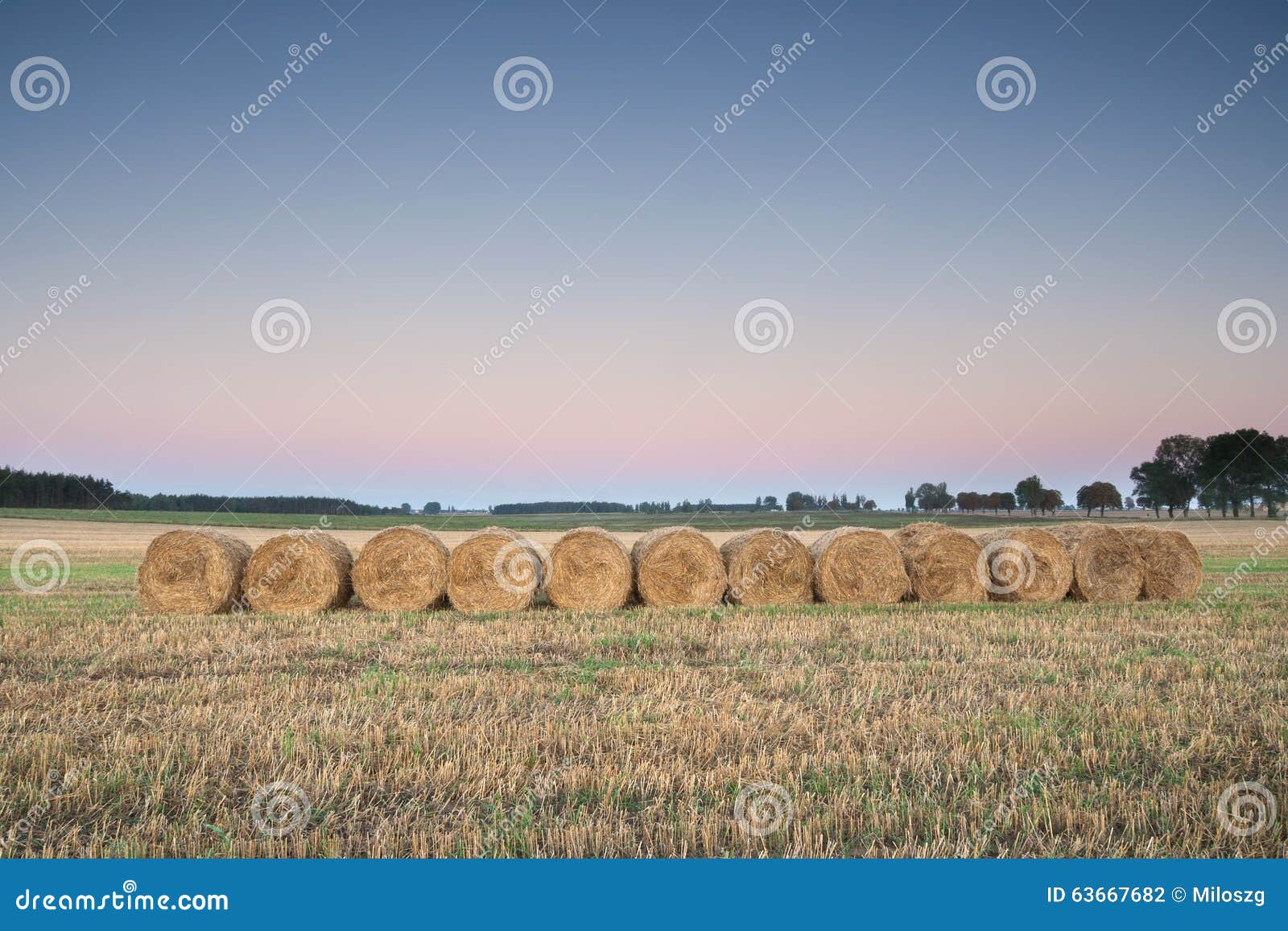 Stubble field landscape stock photo. Image of grain, arable - 63667682