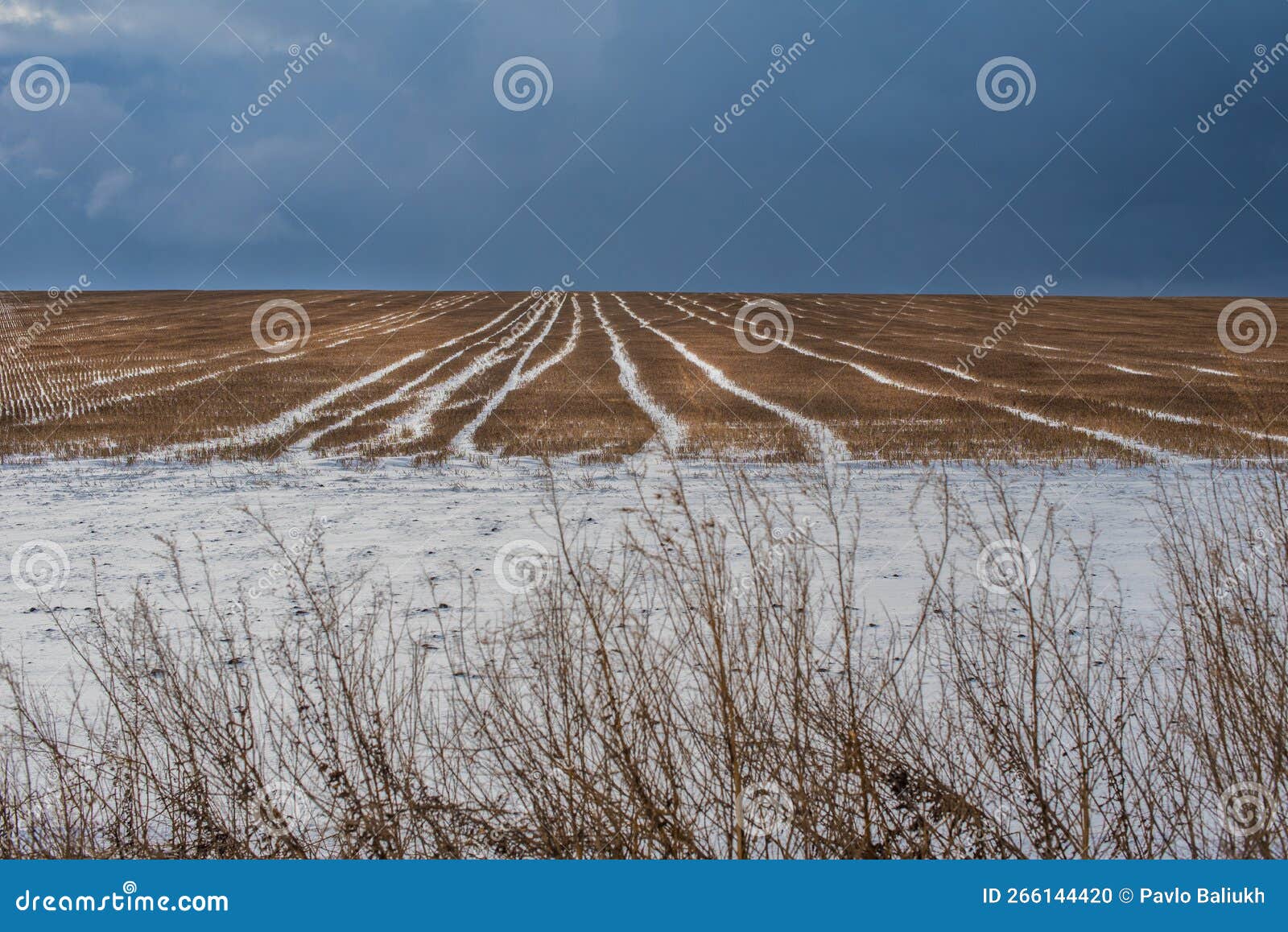 Stubble Patterns after Harvested with Snow and a Dark Sky Stock Photo ...