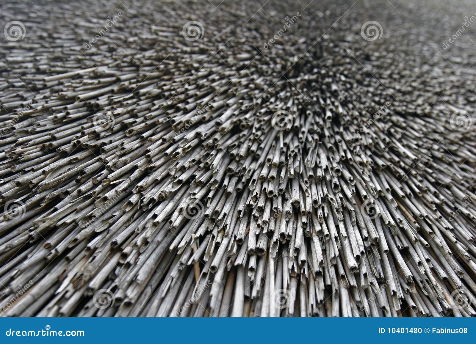 Stubble texture stock photo. Image of macro, material - 10401480