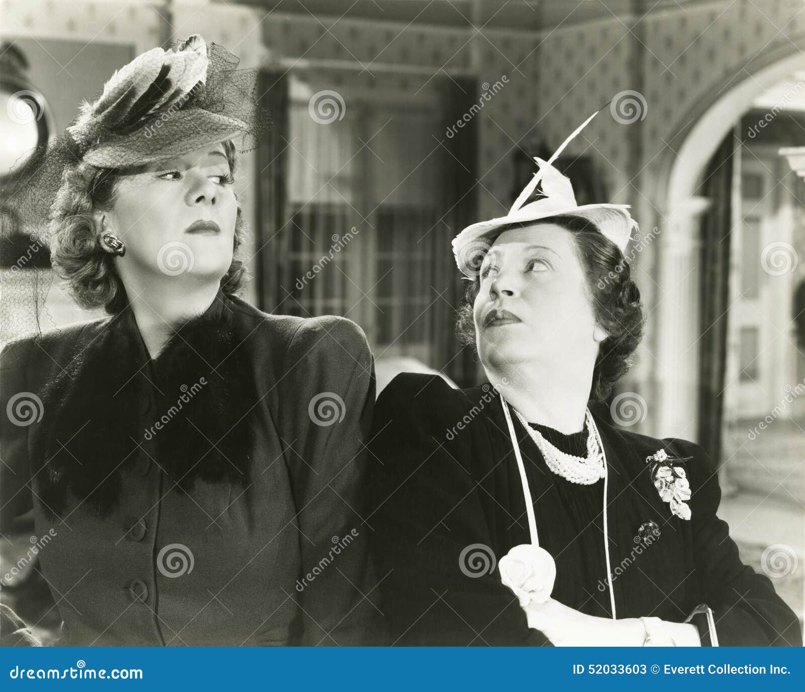 Stubborn women stock image. Image of feathered, interior - 52033603