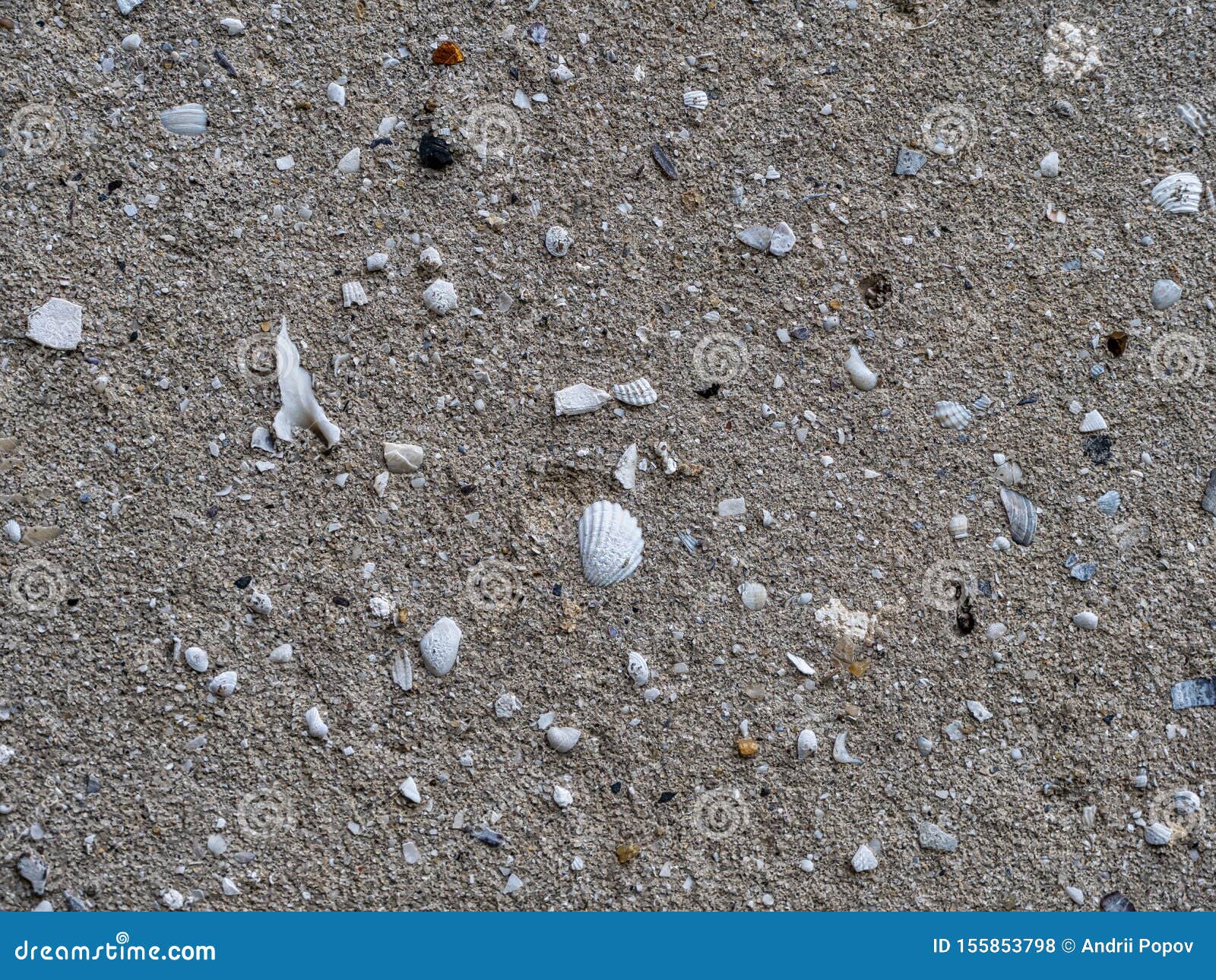 Stucco Based on Sea Sand with Shells and Stones. Plastered Surface ...