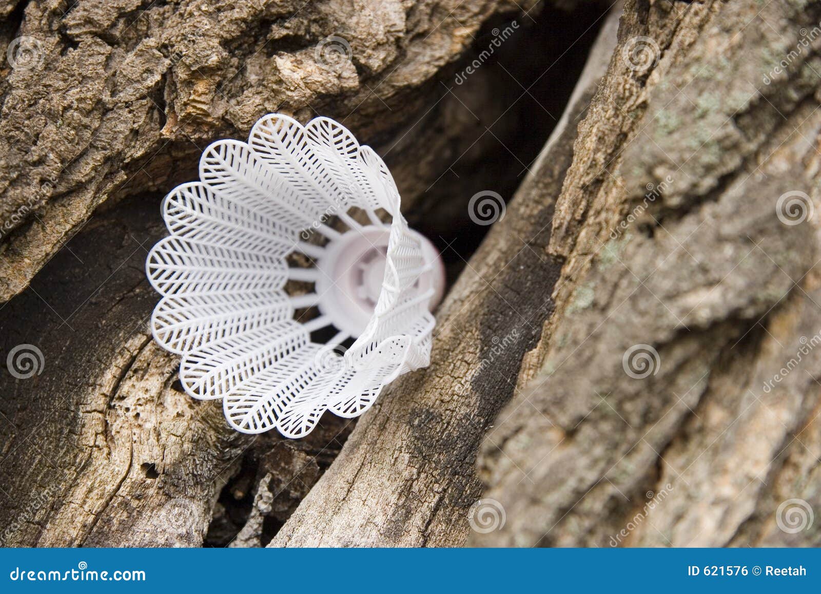 Stuck Picture. Image: 621576