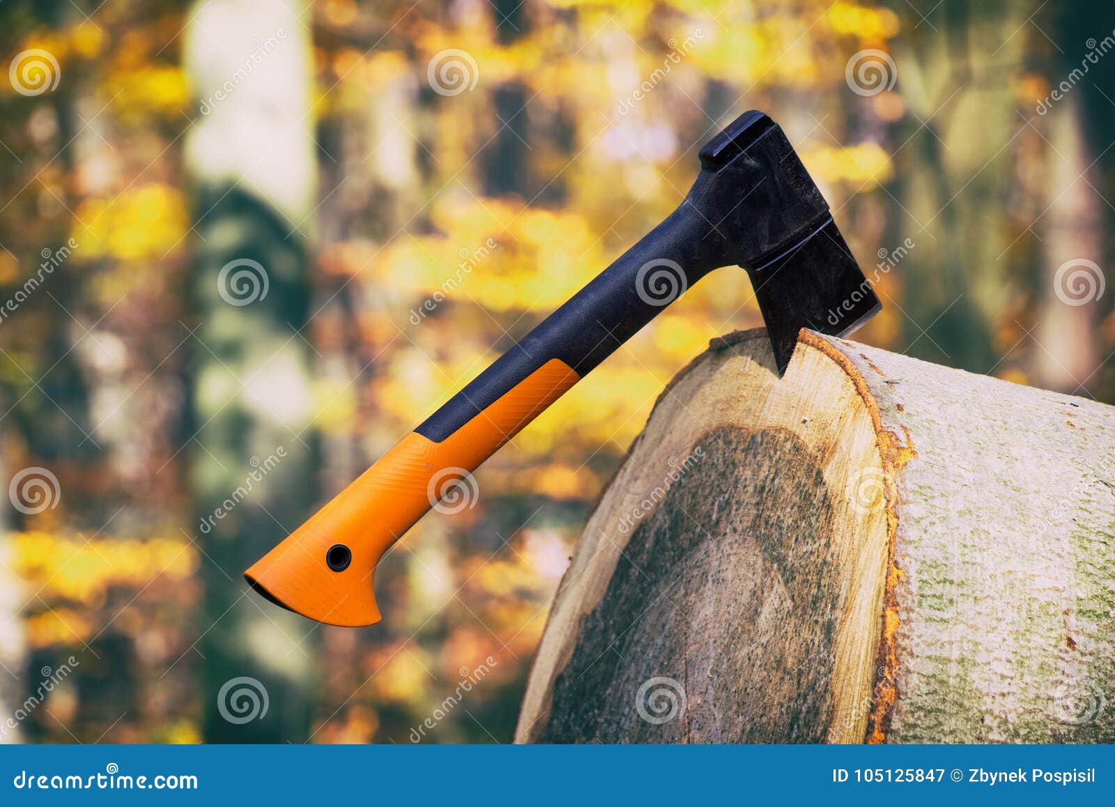 Stuck Axe in a Log in Forest Stock Image - Image of stuck, blade: 105125847