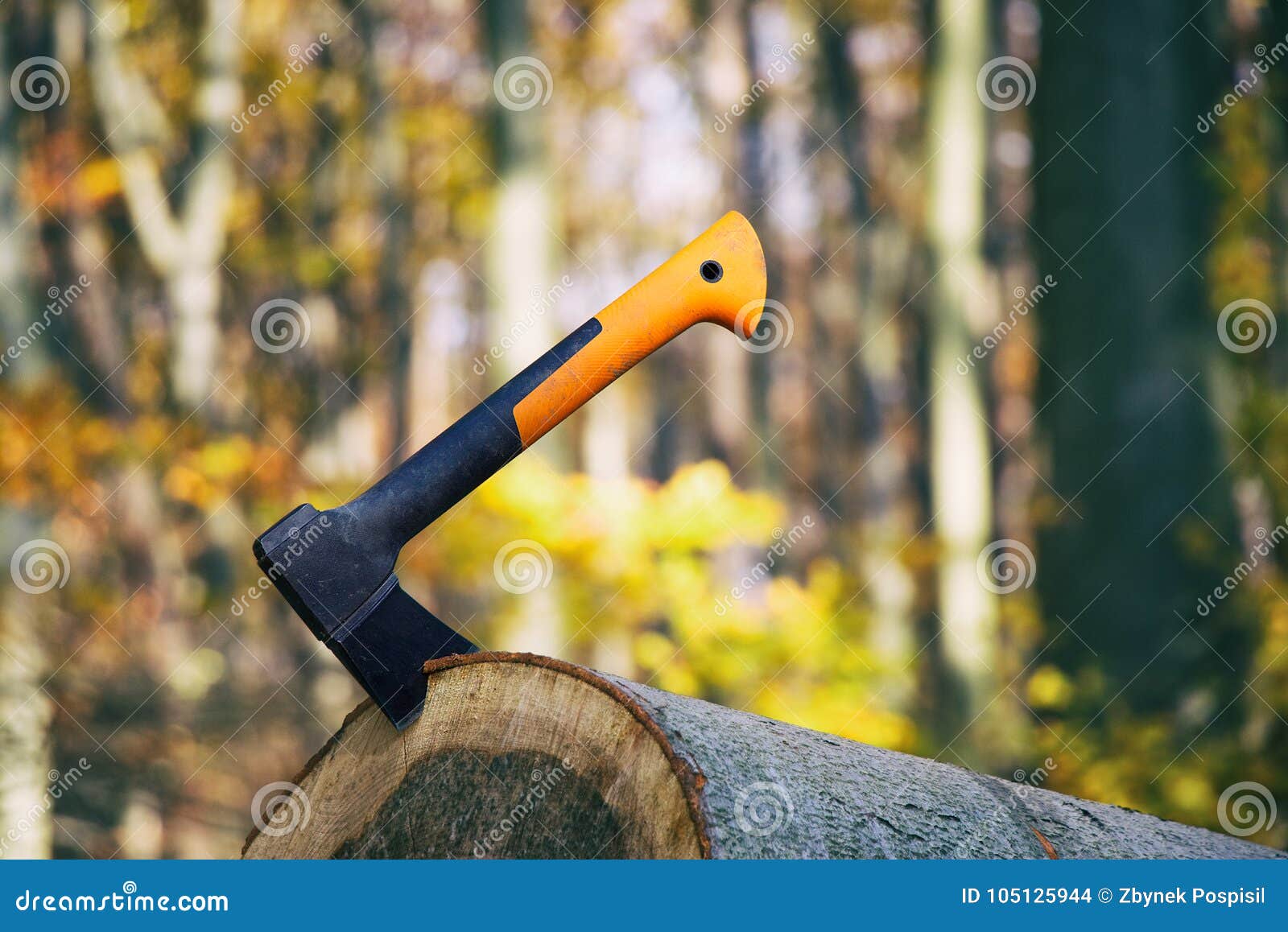 Stuck Axe in a Log in Forest Stock Photo - Image of hatchet, small ...
