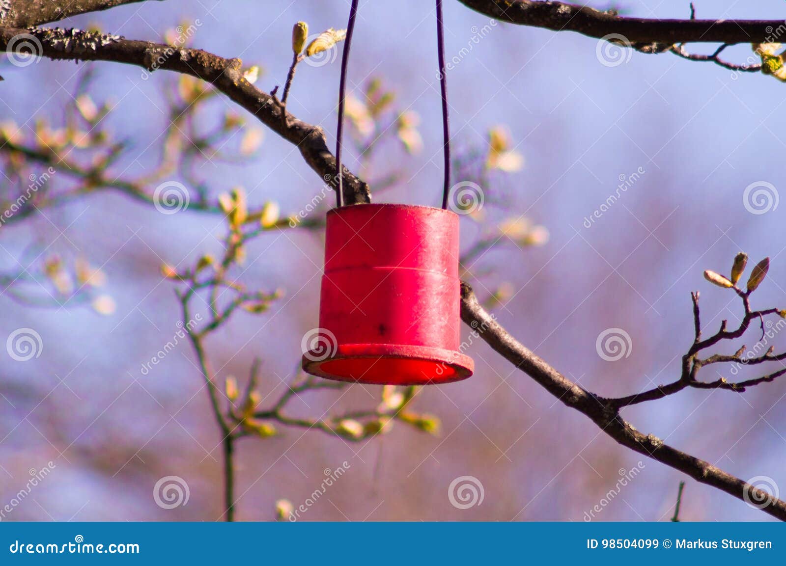 Stuck 1 stock image. Image of innercity, stuck, plastic - 98504099