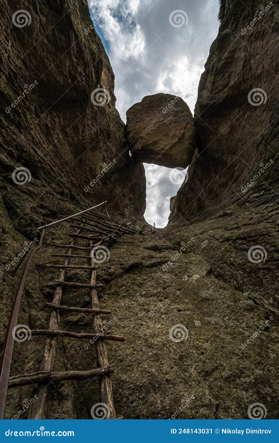 Stuck stone in the rocks stock image. Image of plant - 248143031