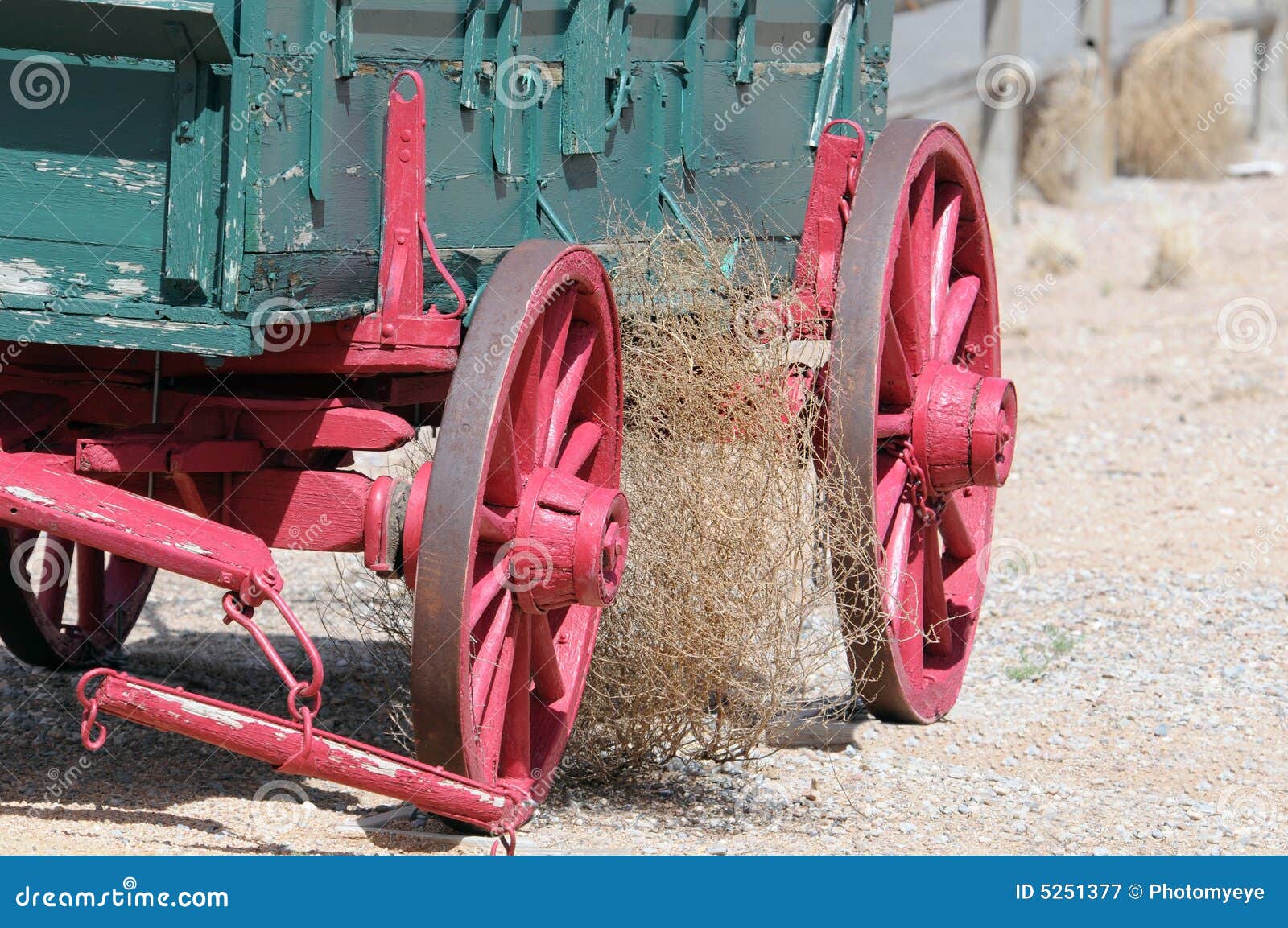 Tumbleweed Stock Photo | CartoonDealer.com #419622