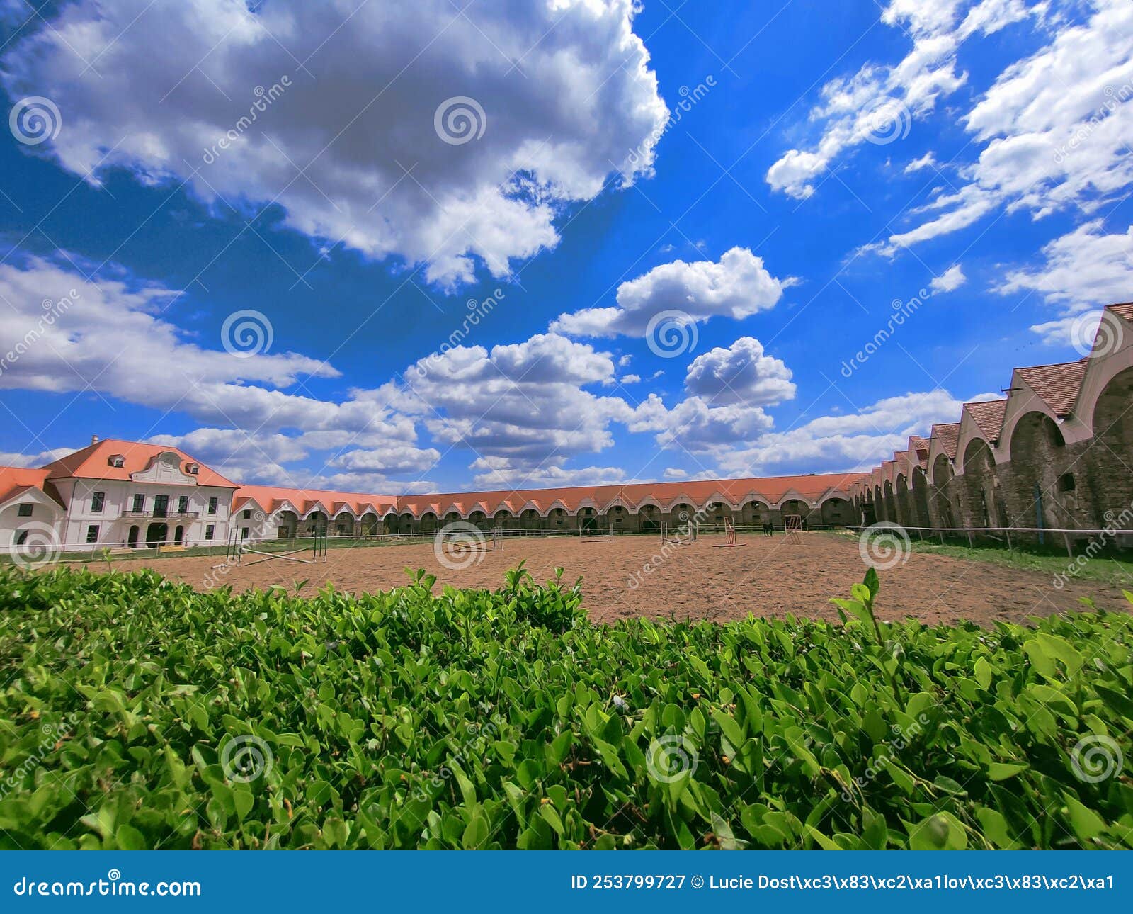The Stud Farm in the Village Kopcany in the Slovakia Editorial ...