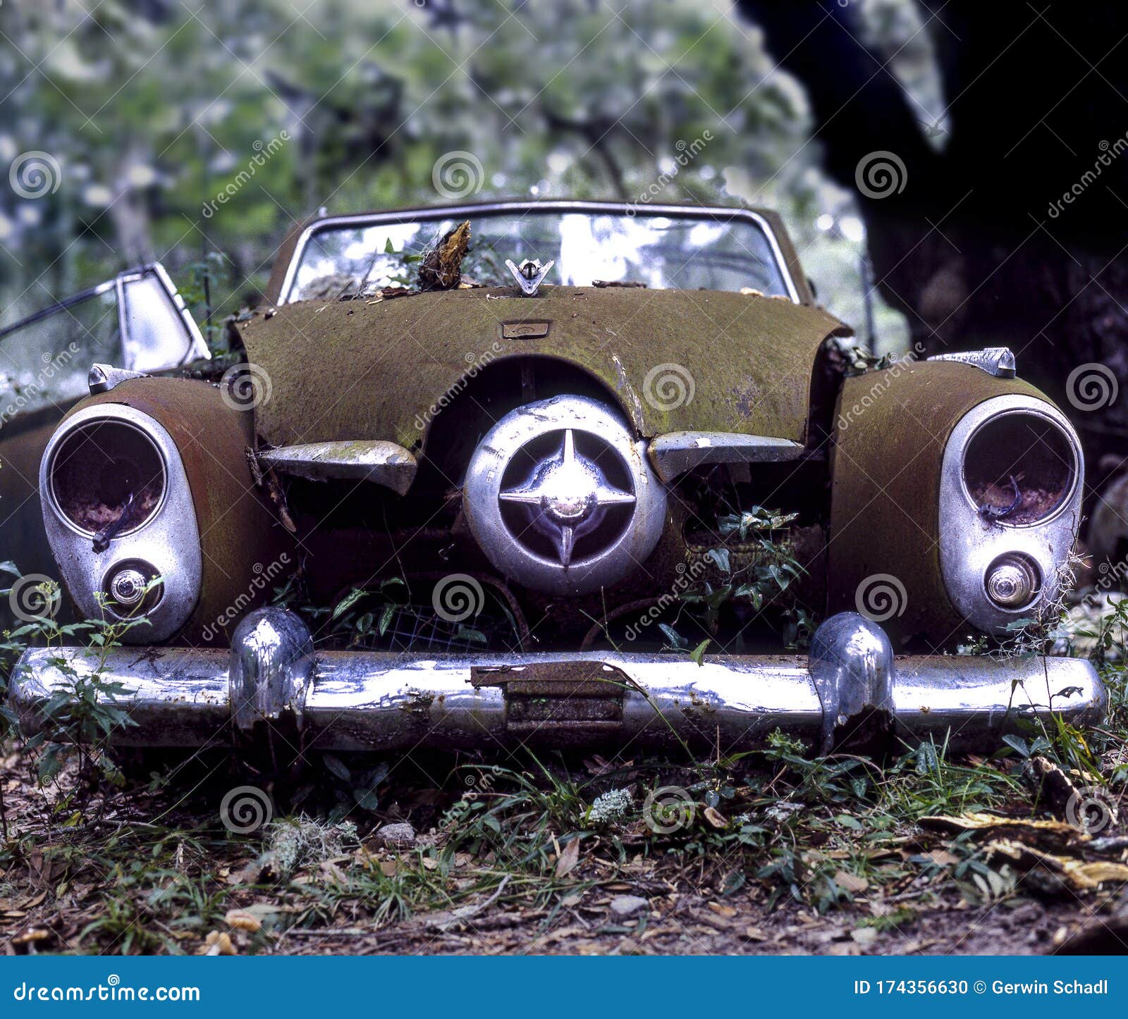 Studebaker Champion Oldtimer on Scrapyard Stock Photo - Image of ...