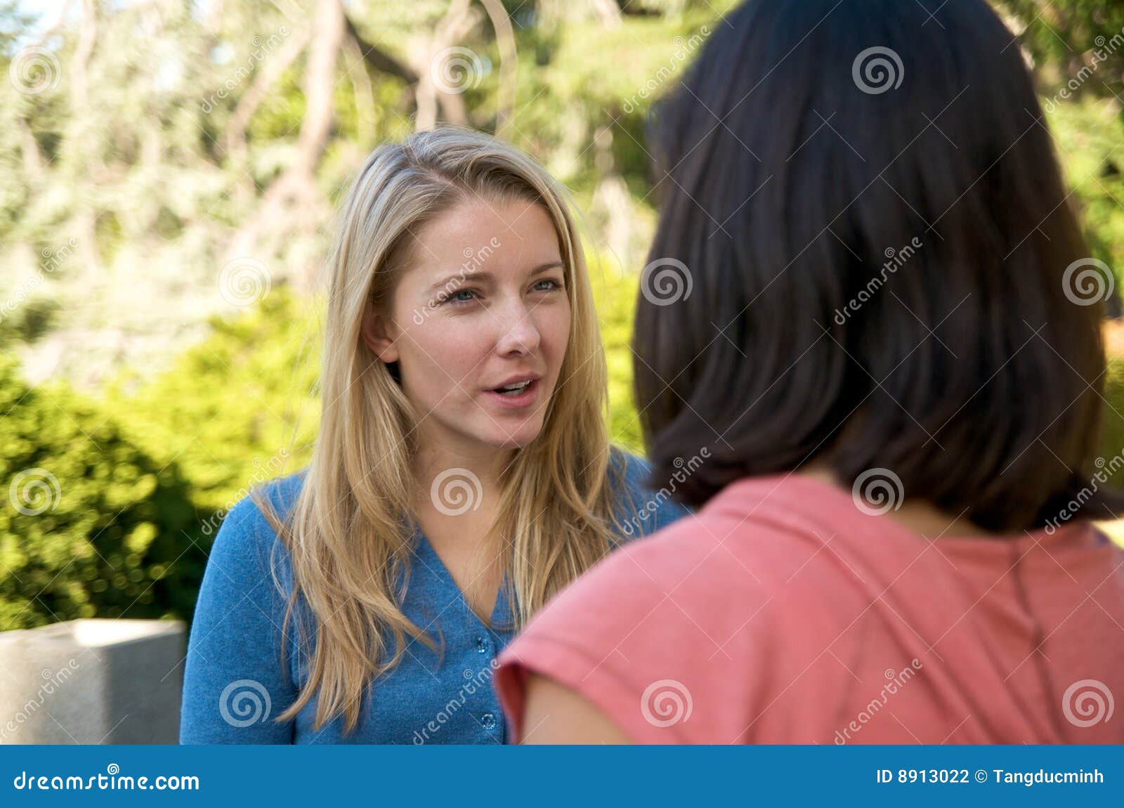 Student arguing stock photo. Image of conversation, group - 8913022
