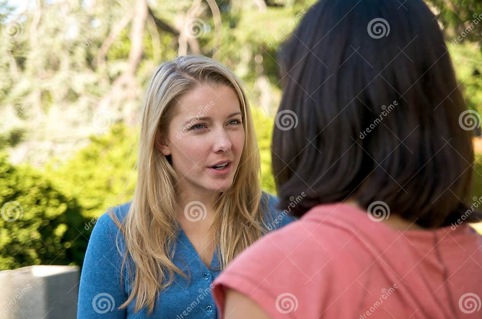 Student arguing stock photo. Image of conversation, group - 8913022