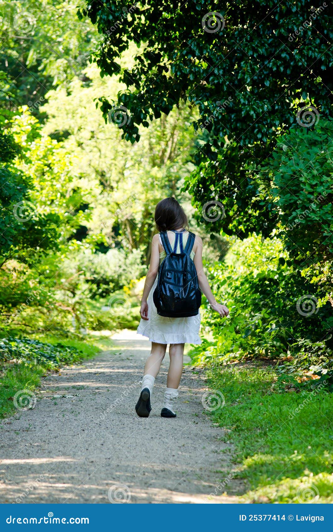 Student back to school stock photo. Image of alley, intelligent - 25377414
