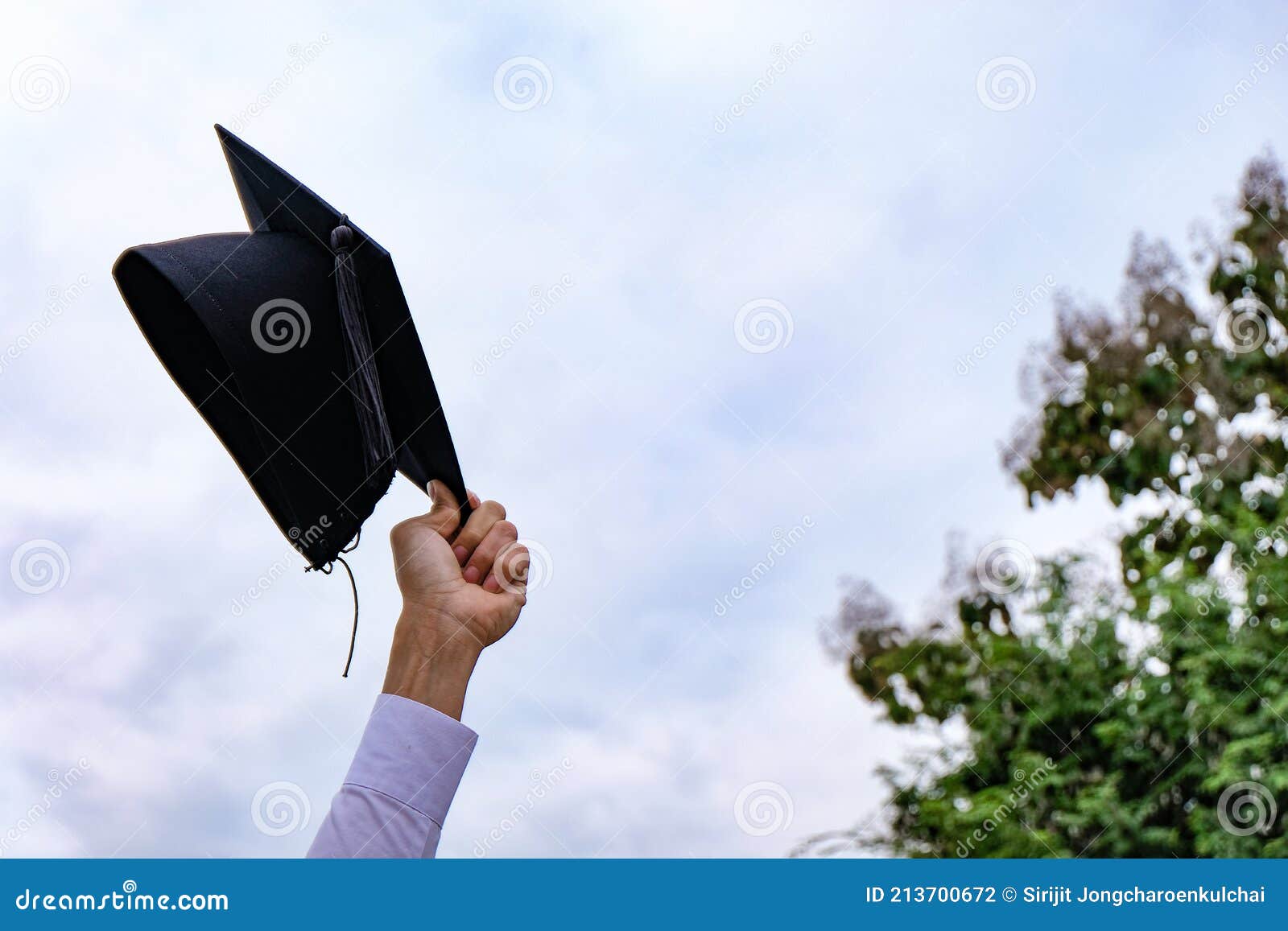 Student with Congratulations, Graduates Wearing a Graduation Gown of ...