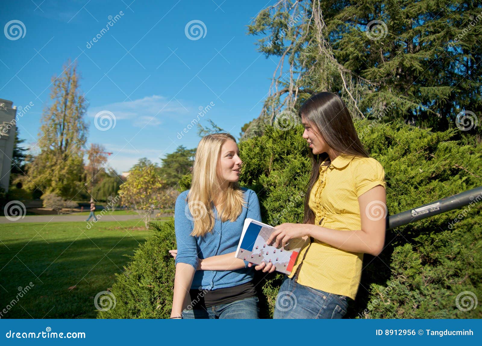 Student conversation stock photo. Image of adult, discussion - 8912956