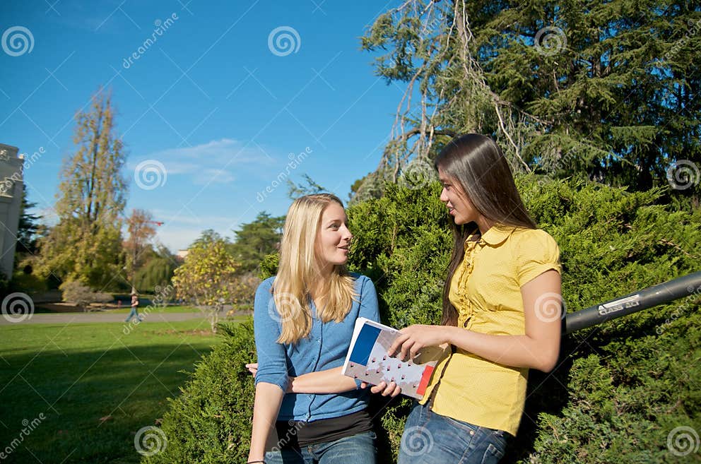 Student conversation stock photo. Image of adult, discussion - 8912956