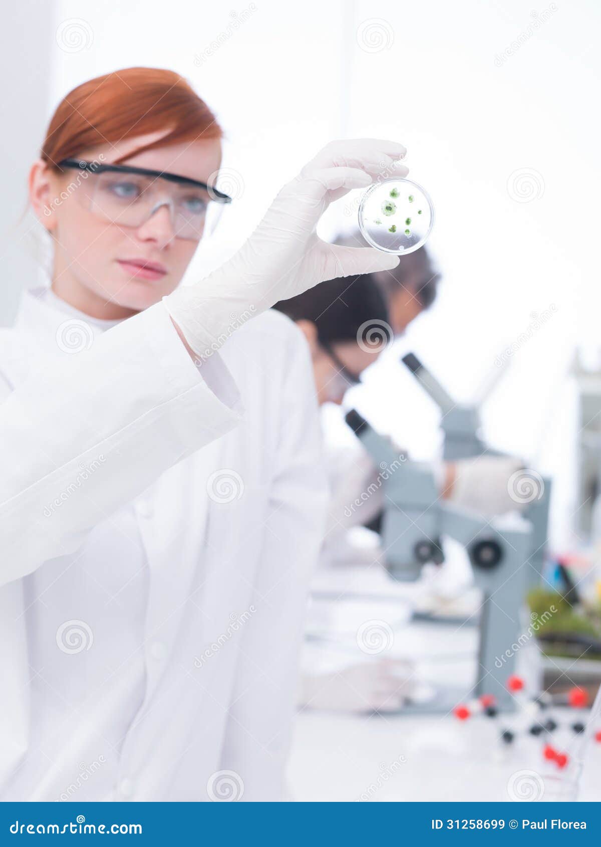 Student, Der Proben Analysiert Stockbild - Bild von biochemie, medizin ...