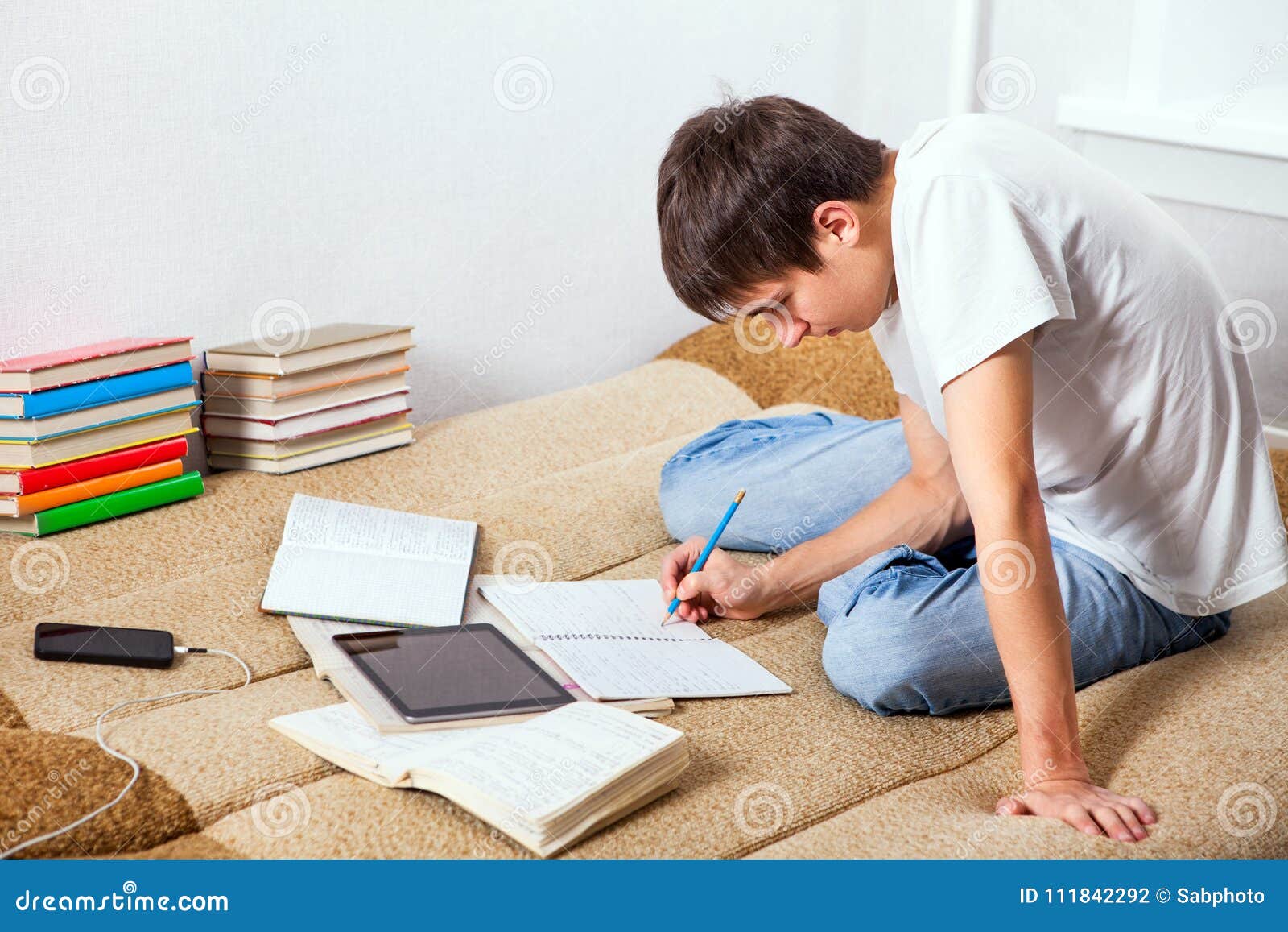 Student doing Homework stock photo. Image of heap, domestic - 111842292